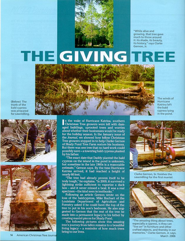 Shady Pond Tree Farm e-brochure, Christmas 2006